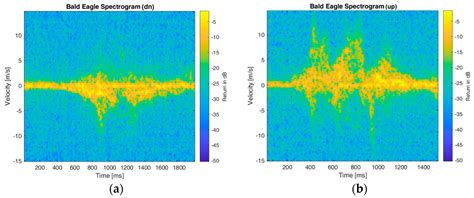 Classification And Discrimination Of Birds And Small Drones Using Radar Micro Doppler