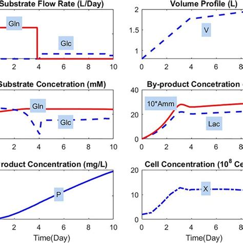 The Model Based Optimal Time Evolution Of The State And Input Variables