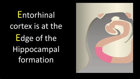 1 If Only There Was A Way To Make Hippocampal Anatomy Memorable Here