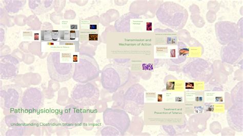 Pathophysiology Of Tetanus By Gunraj Singh On Prezi