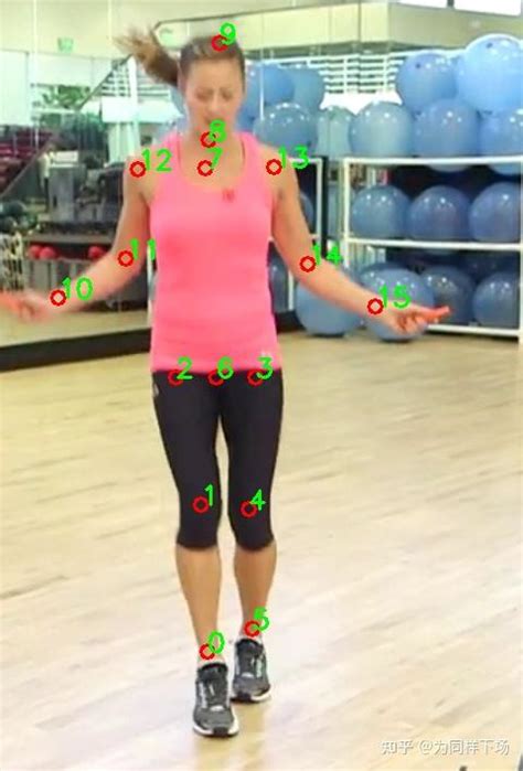 人体姿态估计数据集MPIICOCO与 AI Challenger 的标注格式可视化 知乎