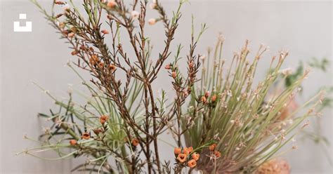 투명 유리 꽃병에 분홍색과 녹색 꽃 사진 Unsplash의 무료 Jar 이미지