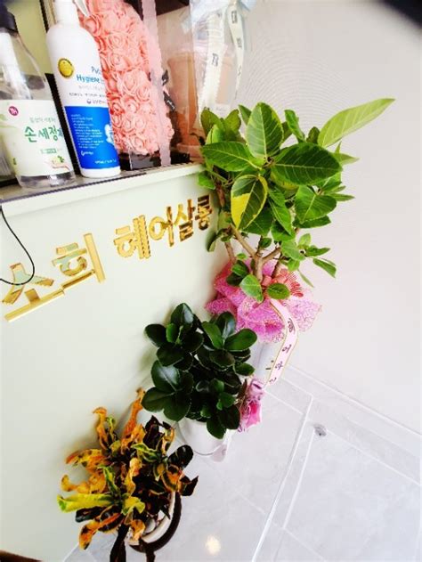 부평역미용실 부평 소희헤어살롱 네이버 블로그