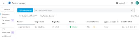 Deploy Mule Applications To Cloudhub With Anypoint Cli V4