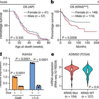 KDM5D Is Correlated With Sex Specific KRAS CRC Metastasis A Download Scientific Diagram