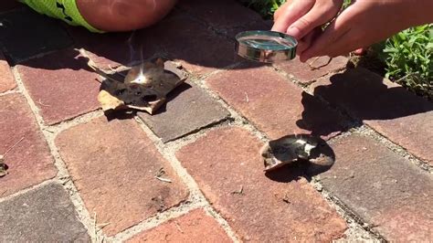 Burning A Leaf With A Magnifying Glass 🙃 Youtube