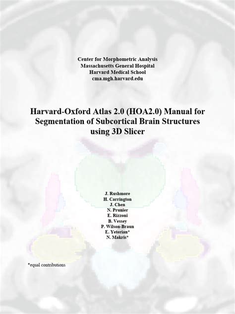 Hoa Subcortical Brain Structure Segmentation Manual Pdf Brain Neuroscience
