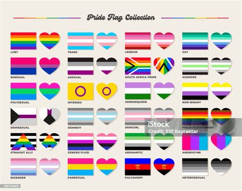 Lgbtq 성적 정체성 자부심 플래그 컬렉션 게이 트랜스젠더 양성애자 레즈비언 등의 국기 자부심 개념 무지개 심장 기에 대한 스톡 벡터 아트 및 기타 이미지 Istock