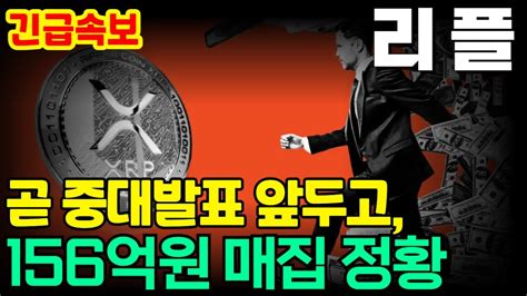 리플 Xrp 긴급속보 곧 중대발표 앞두고 리플 고래 대규모 매집 정황 Youtube