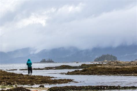 Qualitative Research Methodologies In Rural Health Research Rhsrnbc Rural Health Research