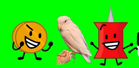 Random Viewer Voting Part 1 R Bfdivoting