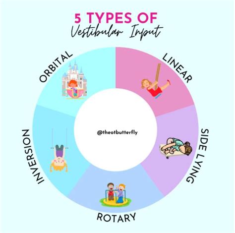 Vestibular Input What Why How The Ot Butterfly Official Website Occupational Therapy