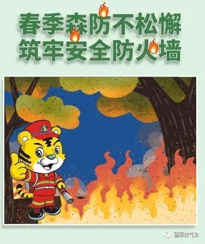 春季森防不放松 筑牢安全防火墙