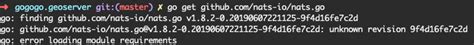 Go Mod Tidy Micro Unknown Revision 9f4d16f · Issue 501 · Nats Io