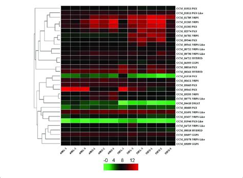 Expression Of Secondary Metabolite Backbone Synthesis Genes In