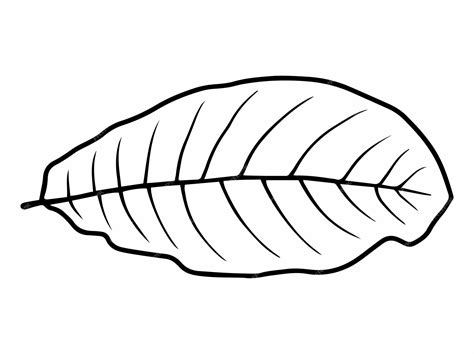 Premium Vector Leaves Sketch Line Art Illustration
