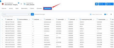 Data Preview User Guide
