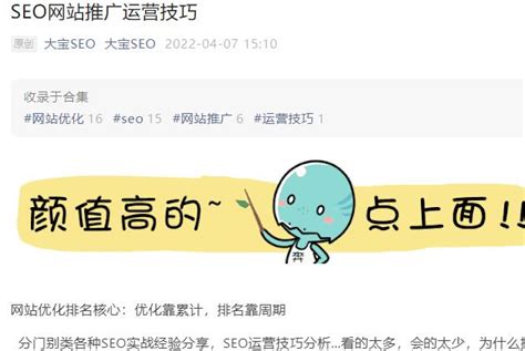 Seo网站推广技巧揭秘：解决白帽优化和正规优化的常见问题 猎富团
