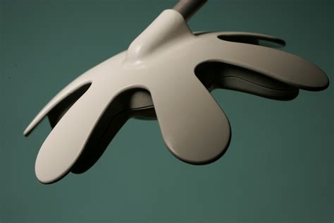 Robin Photography Organic Shape