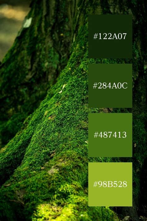 Best 13 Forest Green Color Palette Color Scheme Generator Artofit