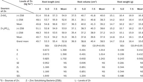 Effect Of Sources Levels Of Zn And Zsb On Root Growth At Harvest Stage Download Scientific