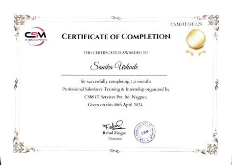 Sanika Urkude On Linkedin Csm Salesforce Internshipcertified