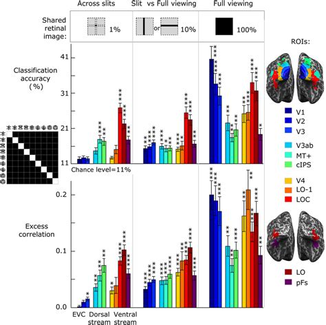 Shape Discrimination In Visual Cortex Across Viewing Conditions Download Scientific Diagram