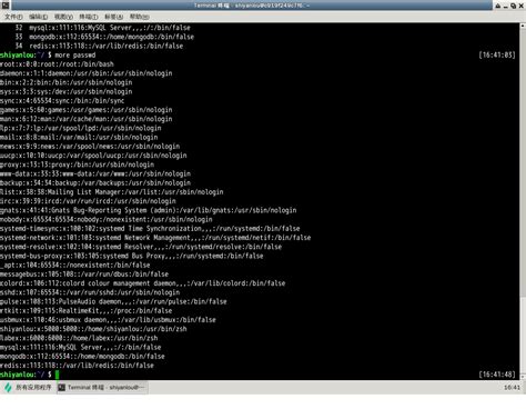 Linux 目录结构及文件基本操作 蓝桥云课