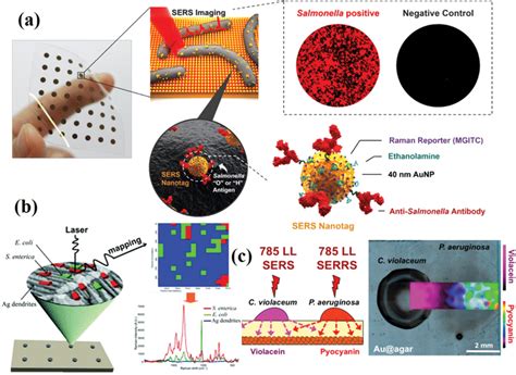 A Bacterial Pathogens Were Immobilized On A 3d Plasmonic Nanopillar Download Scientific