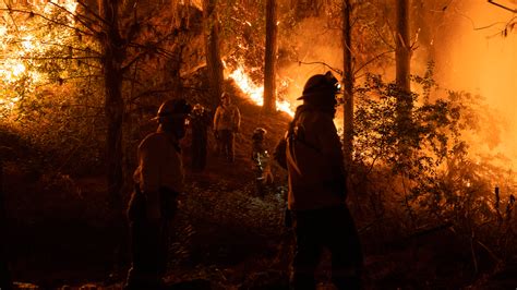 Con La Muerte De Un Brigadista En Incendios De Chile Víctimas De