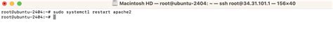 How To Set Up Apache Virtual Host On Ubuntu 2404 Devtutorial