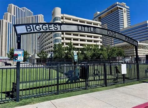 Nothing Better Than Seeing Downtown Residents Come Together And Take