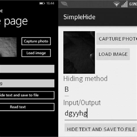Graphical Interface Of Example Developed Applications Download Scientific Diagram