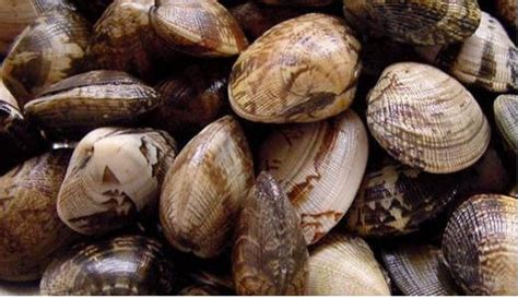 영화 조선후기에는 거제 지역민에 부가된 가중한 부역과 군역 납세는 물론이고 또한 권세가의 사리사욕이 극에 달한 상태여서 삶이 곤궁하기가 비참했다 특히 보릿고개