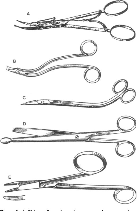 Figure 1 From The History And Evolution Of Surgical Instruments Scissors And Related Pivot
