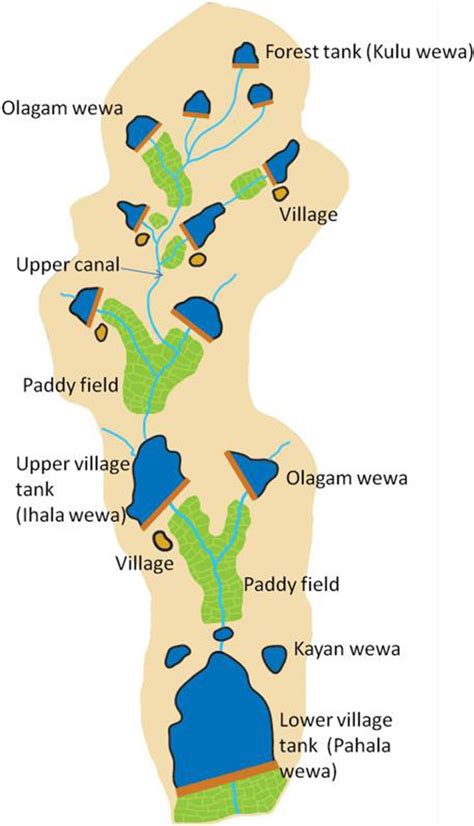 Schematic Diagram Of A Stcs Source Iucn 2016 Download Scientific Diagram