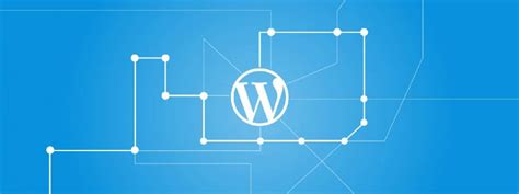 Realizzazione Siti Web In Wordpress Cool Web Agency