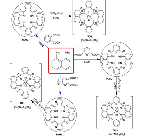 Scheme 1 Synthesis Of Amide Based Macrocyclic Ligands And Their Co Ii