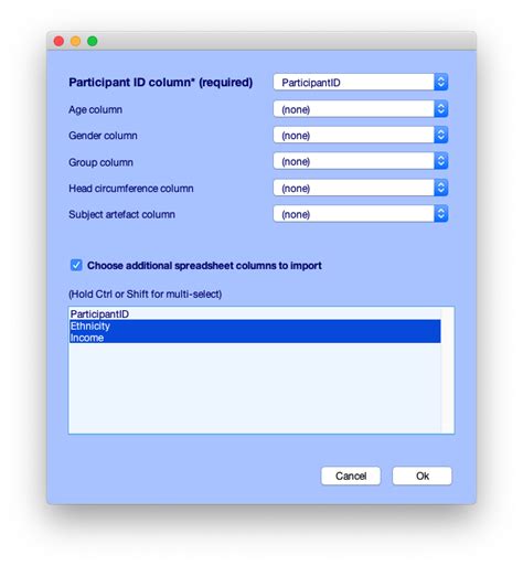 Add Bids Metadata Using Bids Matlab Tools Plug In And Export — End To