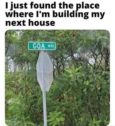 Introvert Indulgences Memes To Make You Cancel Everything 29 Pics