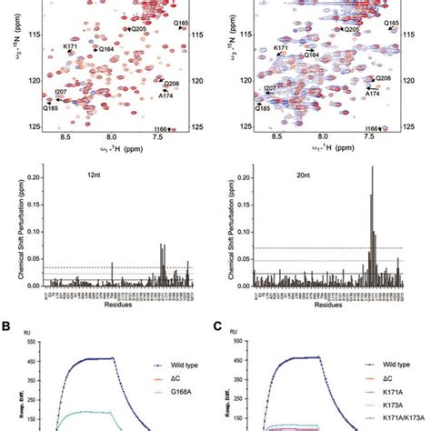 Identification Of Critical Residues Of Faap24 For Ssdna Binding A