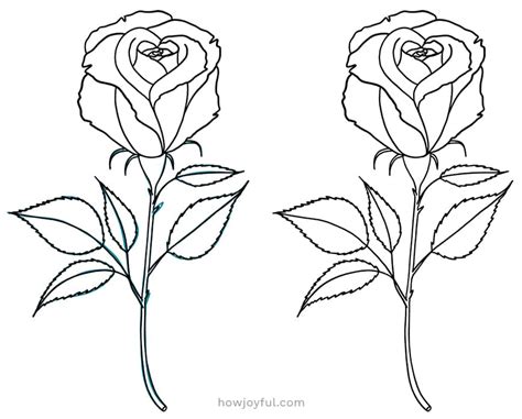 Simple Rose Drawing Outline