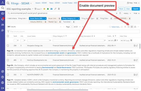 View Document Preview In Results