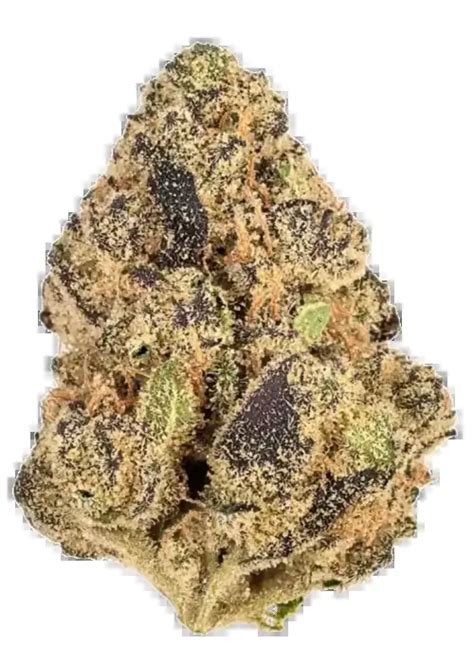 Cherry Limeade Cannabis Strain Information Growdiaries