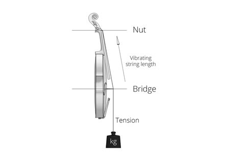 Vibrating String Length String Tension