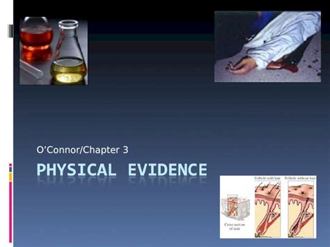 PPT OConnor Chapter 3 Common Types Of Physical Evidence Blood Semen Saliva Documents