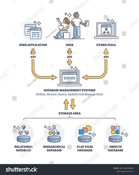 database management systems dbms software tool stock vector royalty