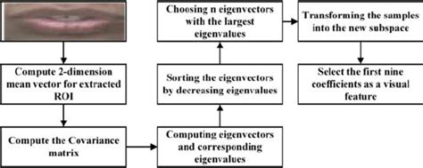 Pca Feature Extraction For Roi Download Scientific Diagram