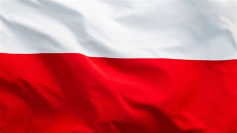 Плохая новость для Украины На поддержку Польши можно не рассчитывать Лента новостей Киева