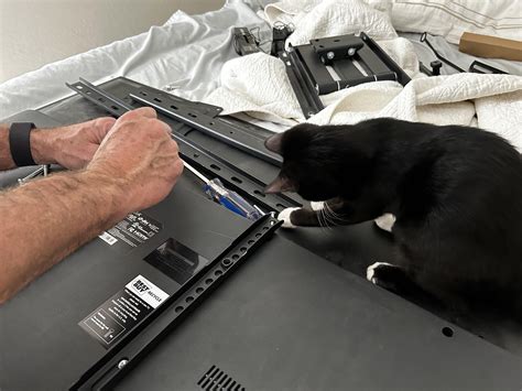 Repair Tech Kitten Rcatswithjobs Repair Tech Kitten Rcatswithjobs